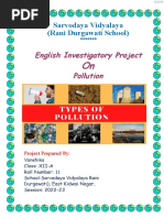 Project On Pollution | PDF | Environmental Degradation | Pollution