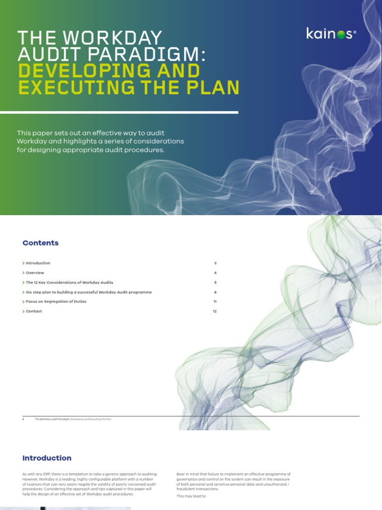 Effective Workday Audit Strategies | PDF | Audit | Cloud Computing