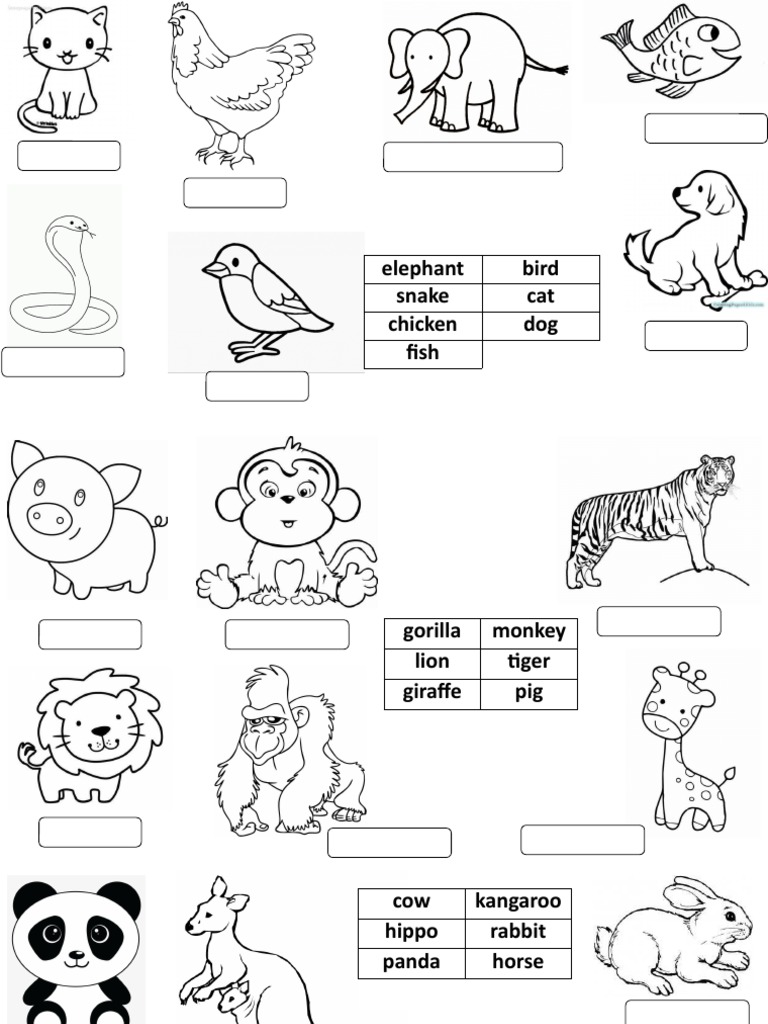 Animals | PDF