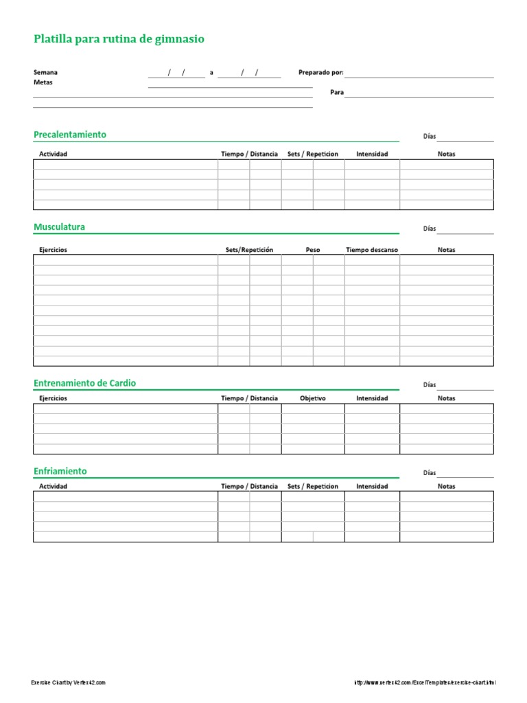 Planilla de Excel de Rutina Gimnasio | PDF