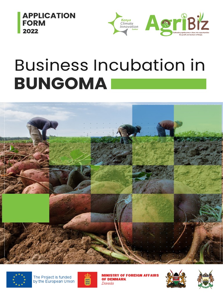 AgriBiz Application Form for Entrepreneurs | PDF | Entrepreneurship ...