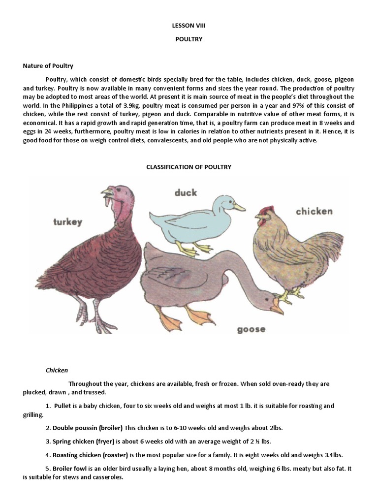 LESSON-VIII-poultry | PDF | Poultry | Chicken