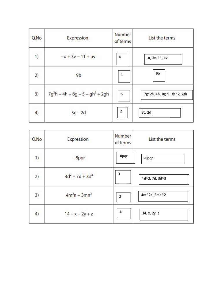 13 Dec 2021 Algebraic Terms | PDF