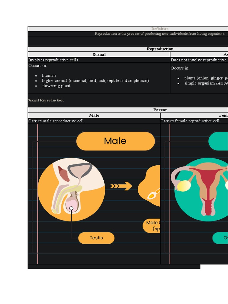 Class Notes Grade 7 | PDF | Reproduction | Sexual Reproduction