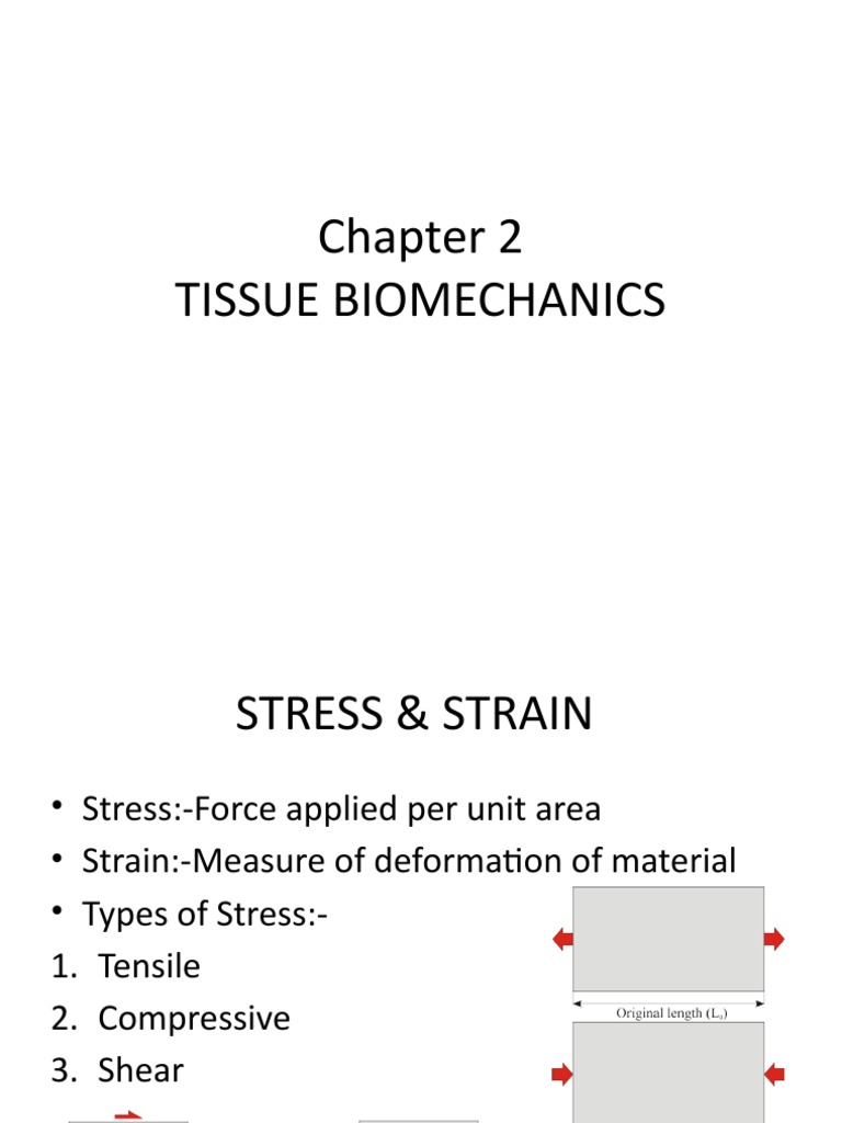 Tissue Biomechanics Stress Strain and Mechanical Properties | PDF | Deformation (Engineering ...