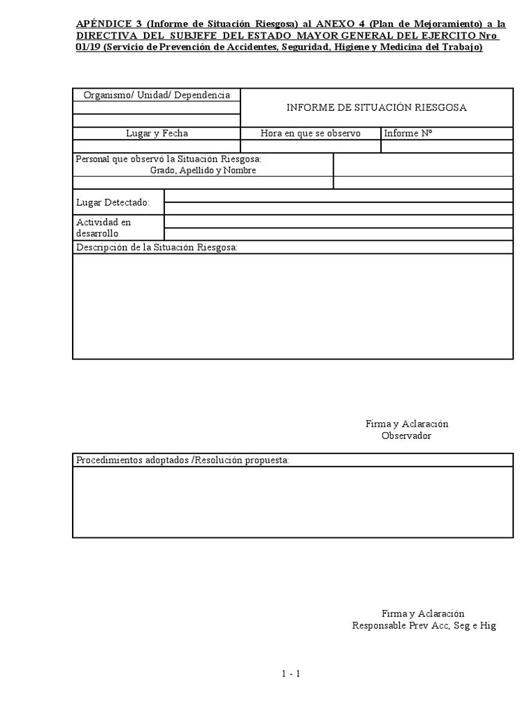 Informe Sit Riesgosa | PDF Informe Sit Riesgosa | PDF