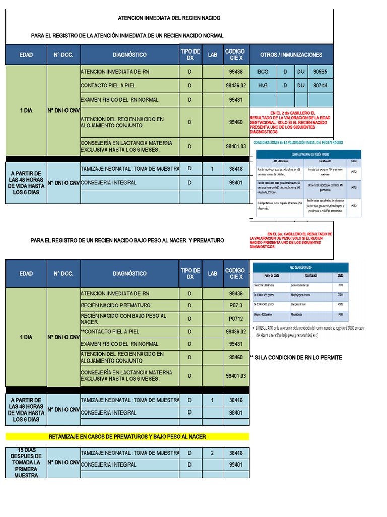 Modelo de His Como Paquete Curso de Vida Niño | PDF | Infantes ...