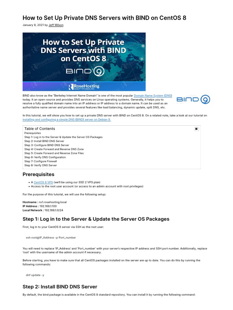How To Set Up Private Dns Servers With Bind On Centos 8 Pdf Domain