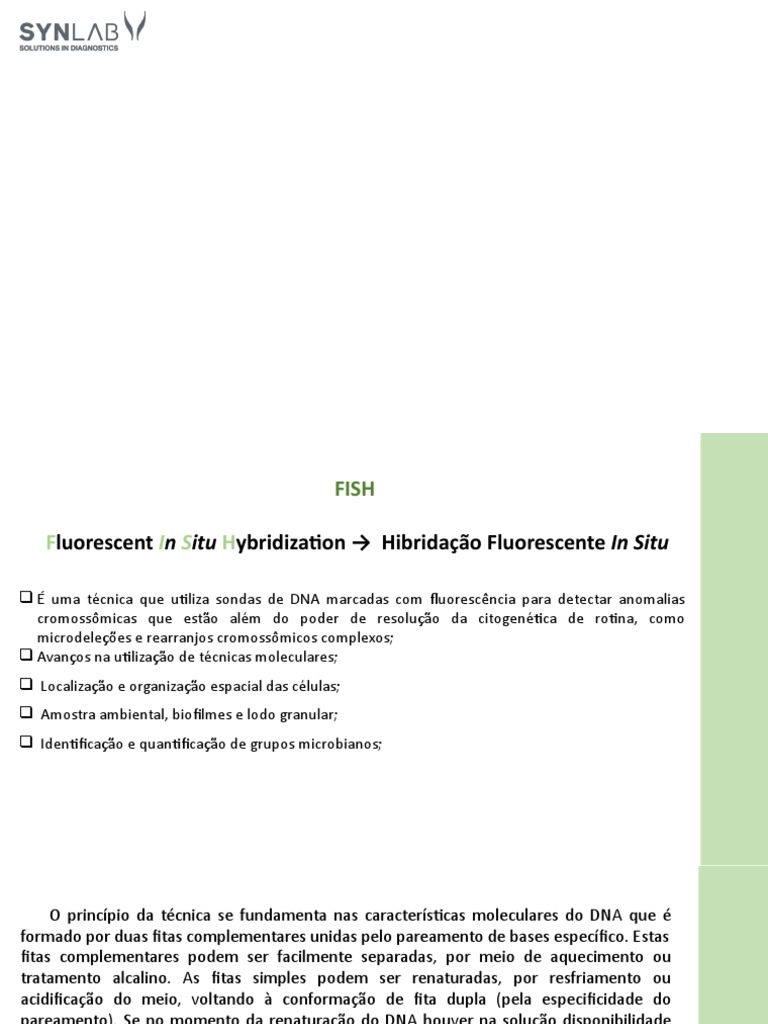 Técnica FISH | PDF | DNA | Cromossomo