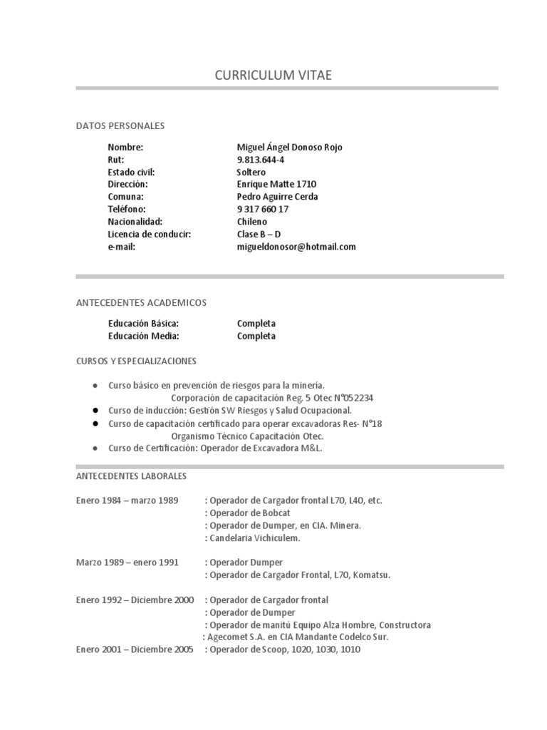 Curriculum Angel Donoso1651697502 | PDF