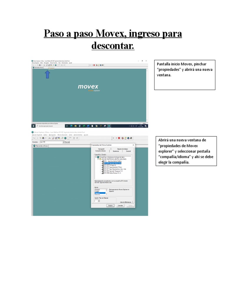 Guía de ingreso en Movex ERP | PDF | Informática