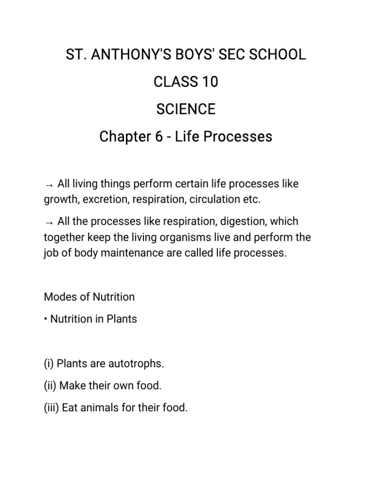 Class 10 Science Chapter 6 Summary | PDF | Respiratory System