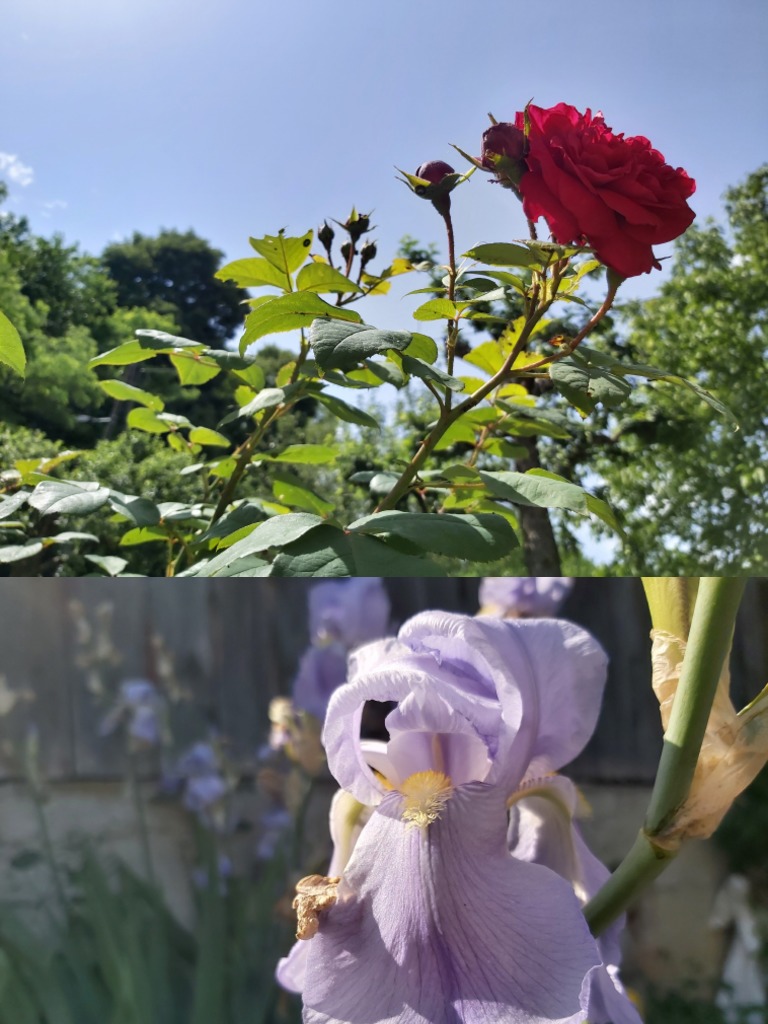 Komplementarne Boje | PDF