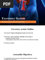 Excretory Products and Their Elimination Class 11 Notes Biology | PDF ...