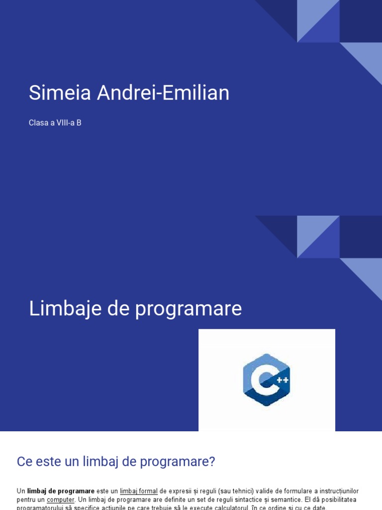 Limbaje de Programare | PDF