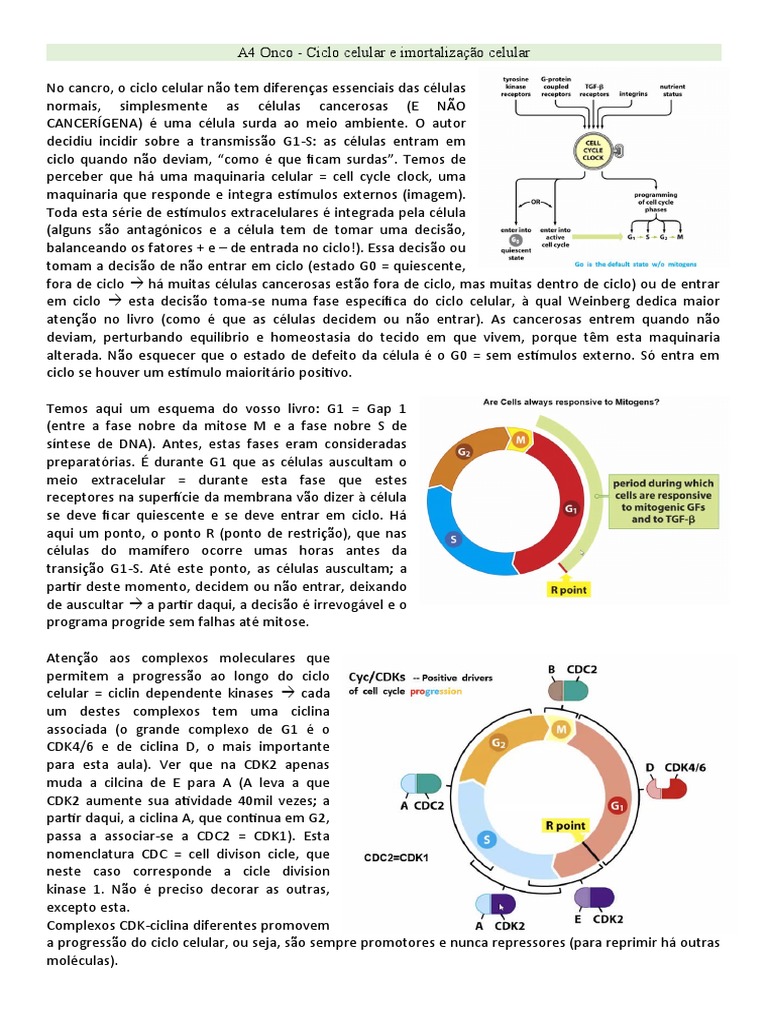 Aula Onco 4 | PDF | Câncer | Ciclo de célula