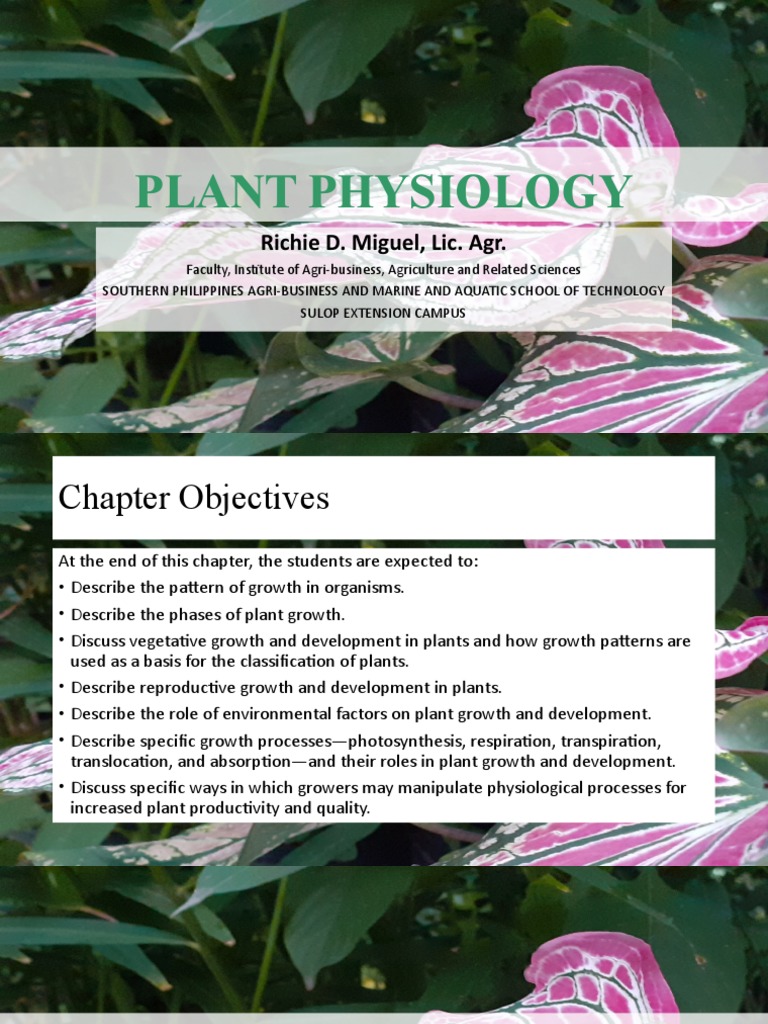 Plant Physiology | PDF | Cellular Respiration | Photosynthesis