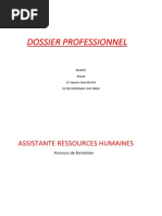 Dossier Professionnel CA v2023 | PDF