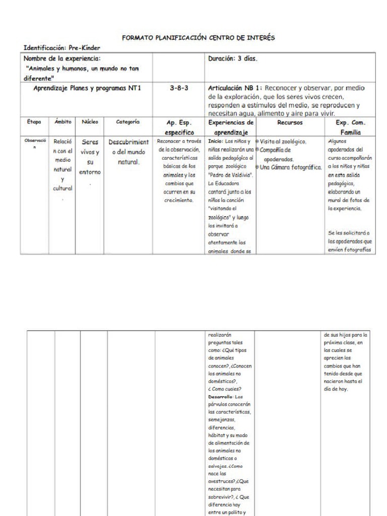 Centro de Interes | PDF