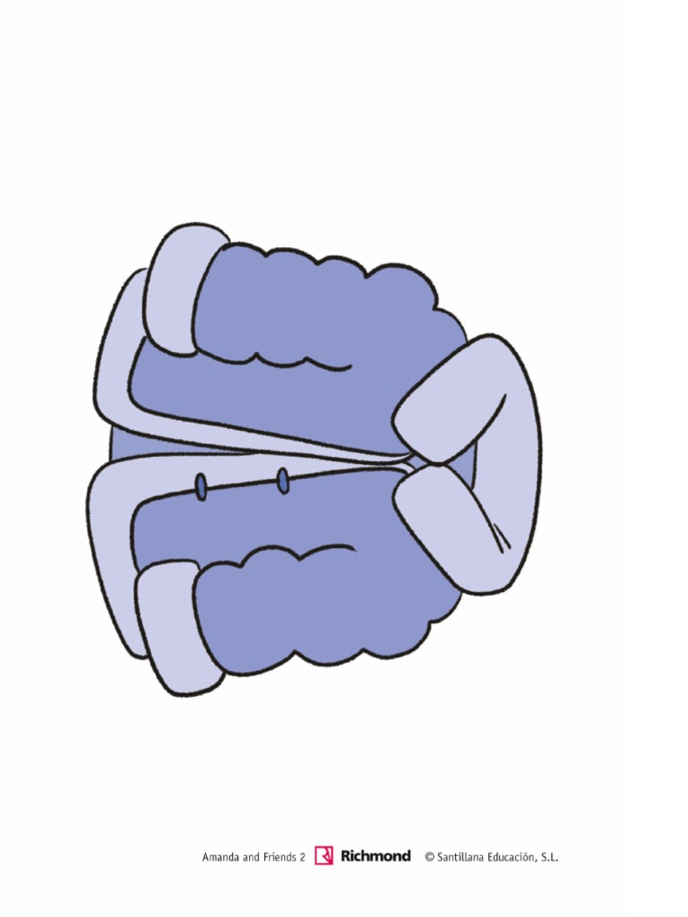 Amanda 2 - Flashcards - U4-6 | PDF