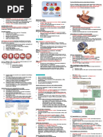 Guía del CAB en RCP y Primeros Auxilios | PDF | Reanimación ...