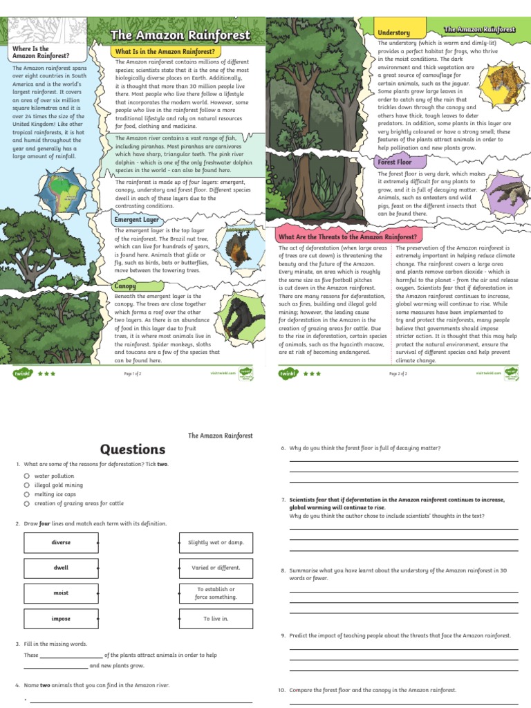 The Amazon Rainforest Comprehesion | PDF | Rainforest | Amazon Rainforest