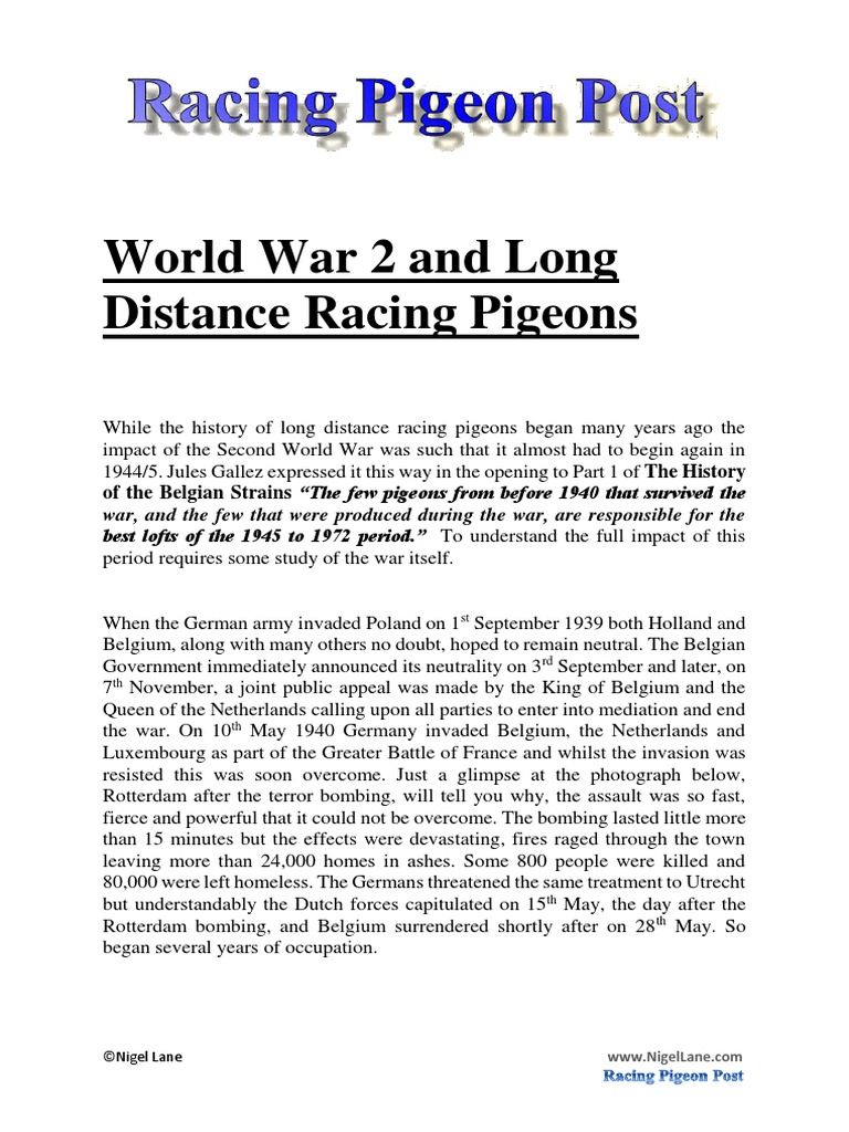 Pigeons in WW2 | Download Free PDF | Rationing | Nazi Germany