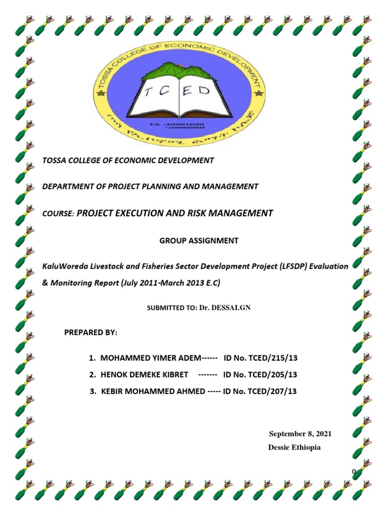 Project Excuation and Manegment Asignment | PDF | Focus Group | Economies