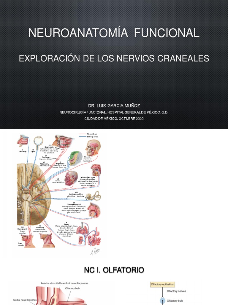 Exploración de Nervios Craneales | PDF