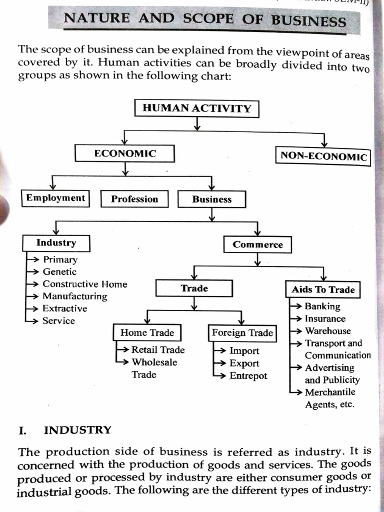 Scope and Types of Business | PDF