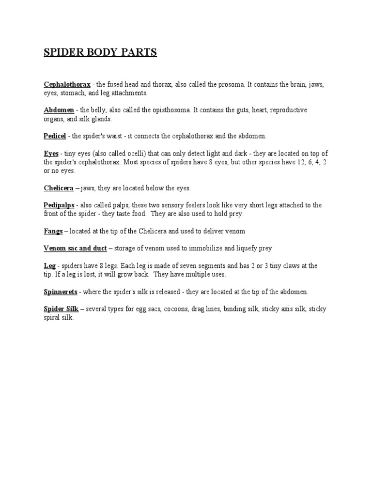 Spider Body Parts | PDF