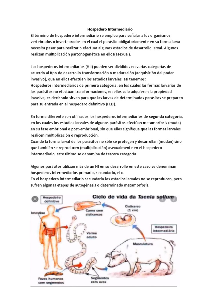 Tipos de hospederos intermediarios y sus funciones en el desarrollo de ... Tipos de hospederos intermediarios y sus funciones en el desarrollo de ...