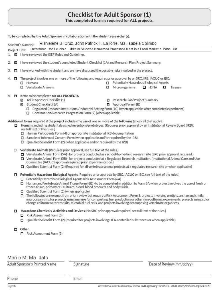 1 Checklist For Adult Sponsor | PDF