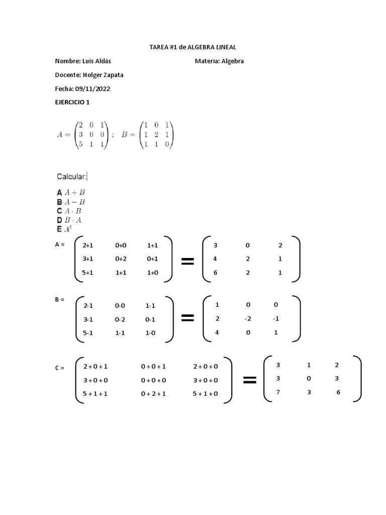 Tarea de Álgebra Lineal: Ejercicios y Matrices | PDF | Álgebra ...