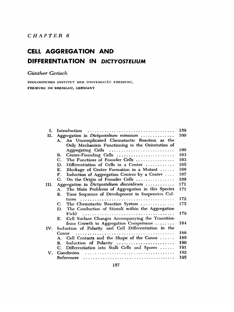 Cell Aggregation and Differentiation in DICTYOSTELIUM | PDF ...