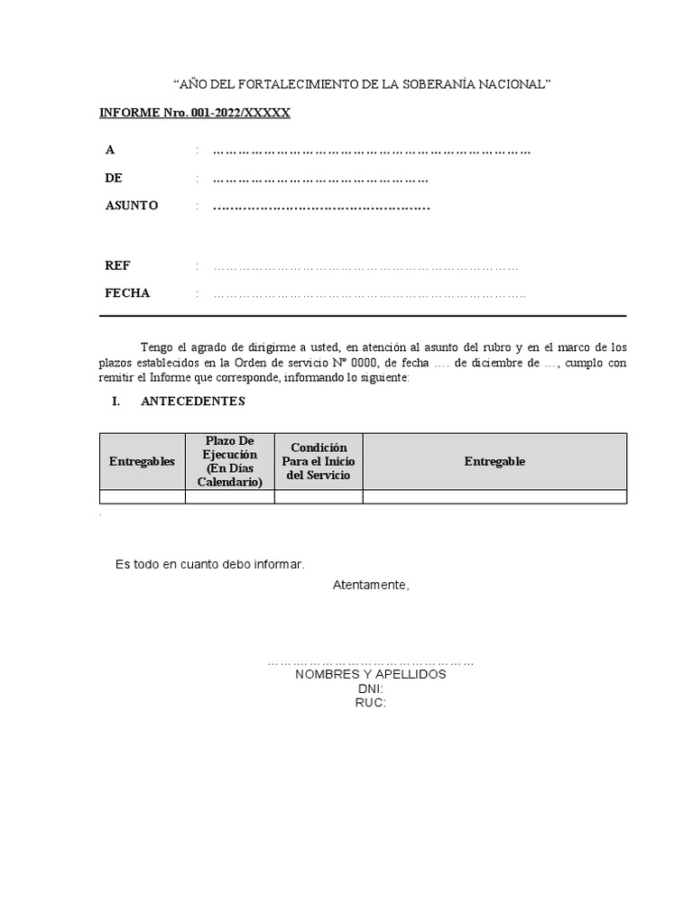 MODELO DE INFORME | PDF