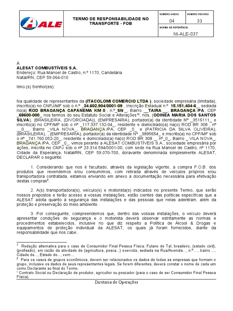 Termo de Responsabilidade ALESAT | PDF | Estado | Transporte
