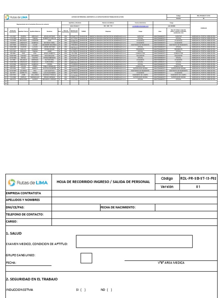 06.-Anexo 01 RDL | PDF