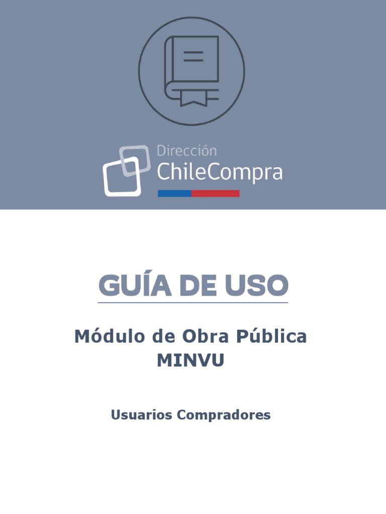 Guía de Uso - Minvu | PDF | Presupuesto | Archivo de computadora