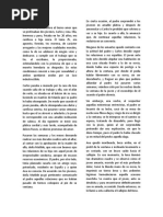 Cuento El Ramo Azul - Octavio Paz | PDF