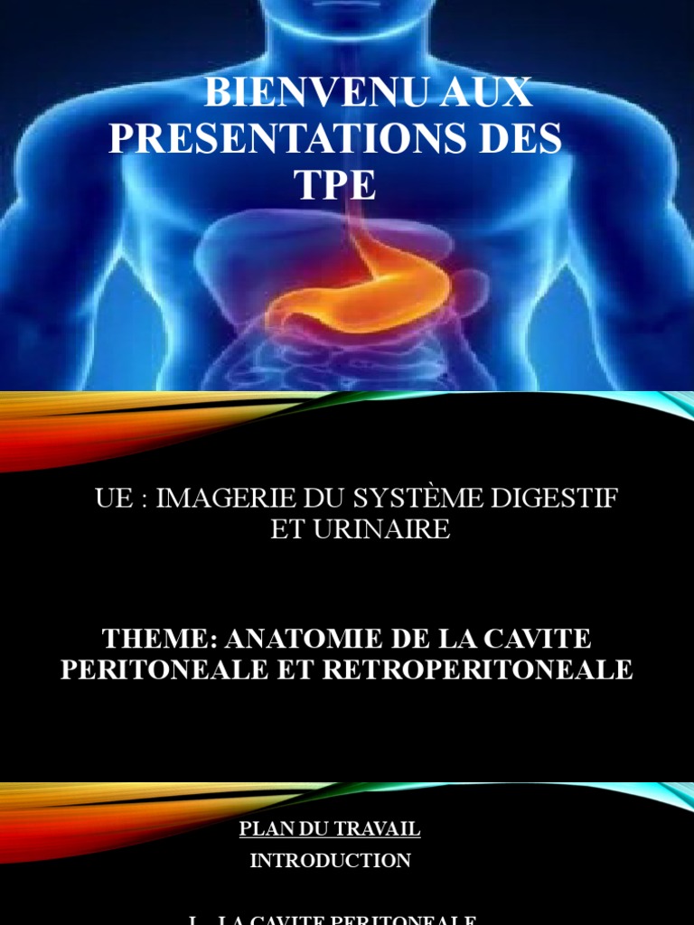 Tpe Img Sys Digestif Amal | PDF | Péritoine | Gastroentérologie
