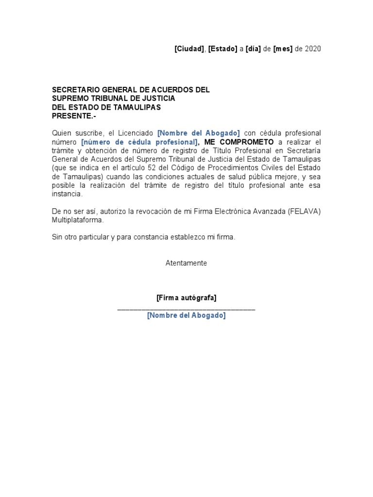 Carta Compromiso | PDF