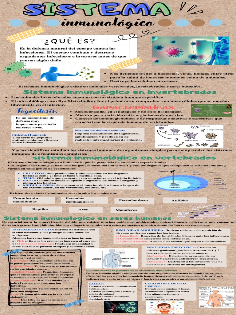 Infografia | PDF | Sistema inmune | Infección