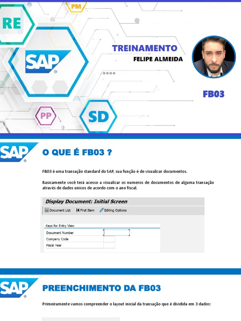 Visualizando documentos contábeis no SAP através da transação FB03 ...