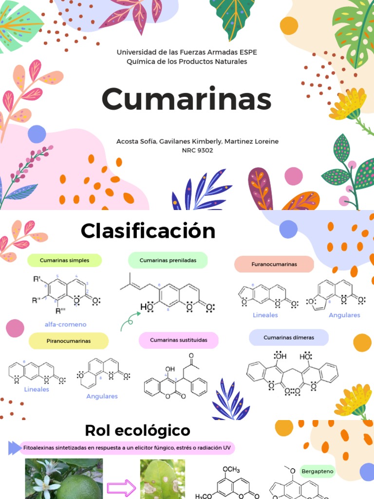 Exposición Cumarinas | PDF