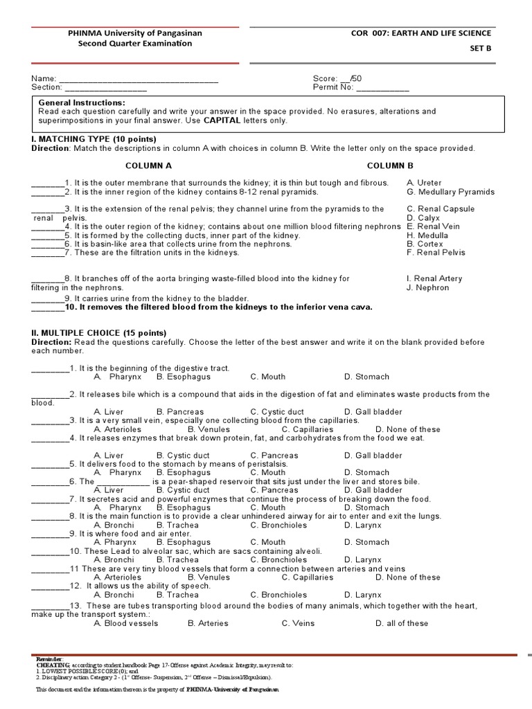 Cor 007 - Sqe - Set B 1 Shuffled | PDF | Kidney | Heart Valve