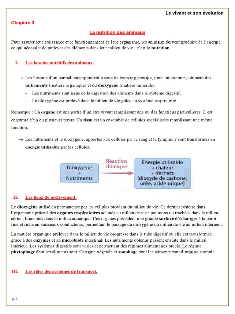 Nutrition des animaux : besoins et systèmes | PDF | Sang | Tractus ...
