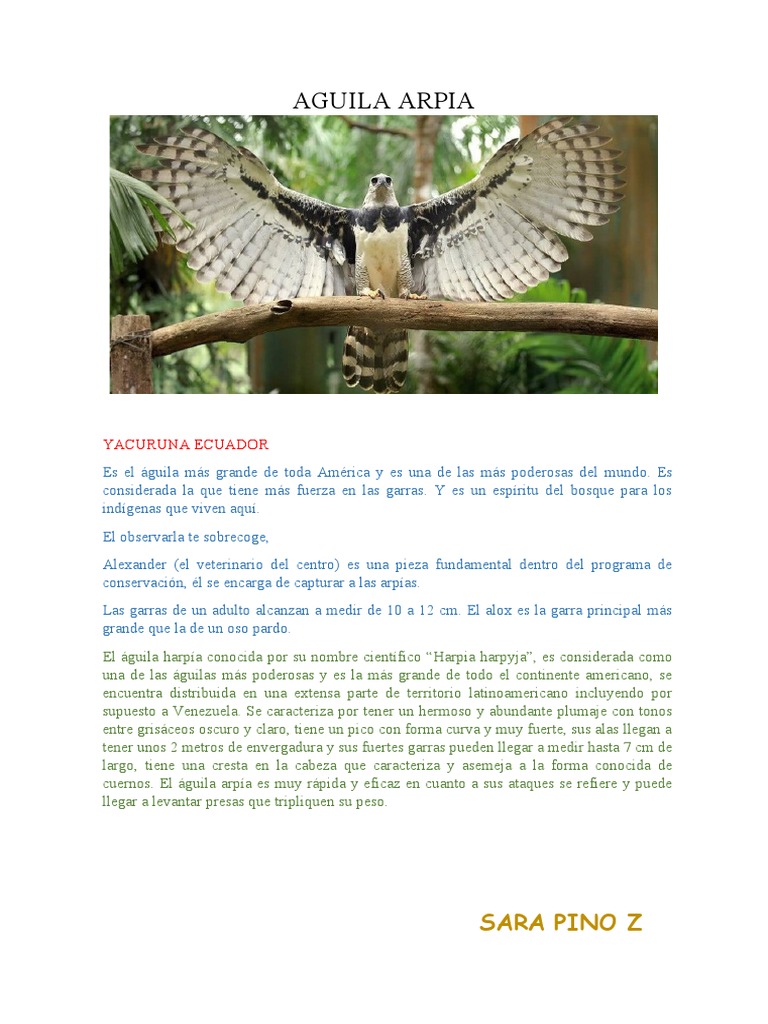 Aguila Arpia | PDF