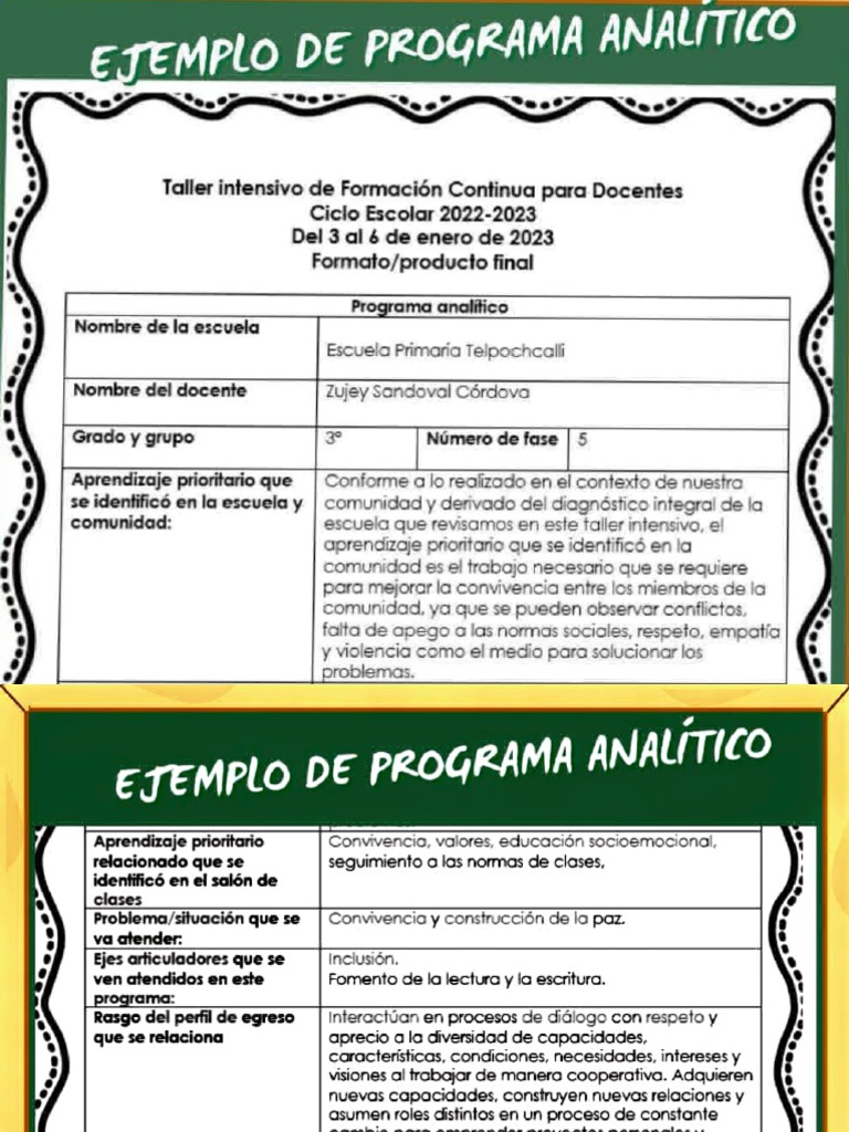 Ejemplo de Programa Analítico 3° | PDF | Educación primaria | Aprendizaje