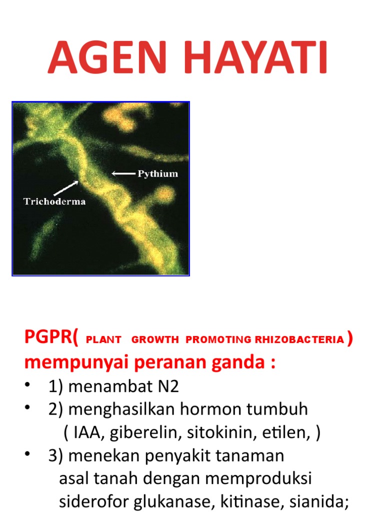 Agen Hayati: PGPR dan Mikroba untuk Pertanian | PDF